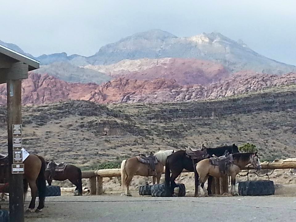 73a Photo Gallery - Above All ATVs | Las Vegas, NV